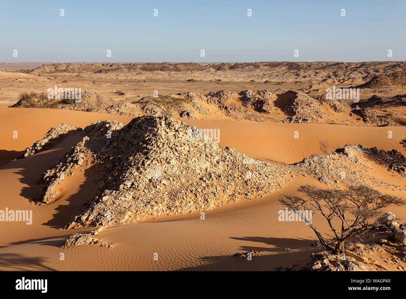 Duqm oman hi-res stock photography and images - Alamy