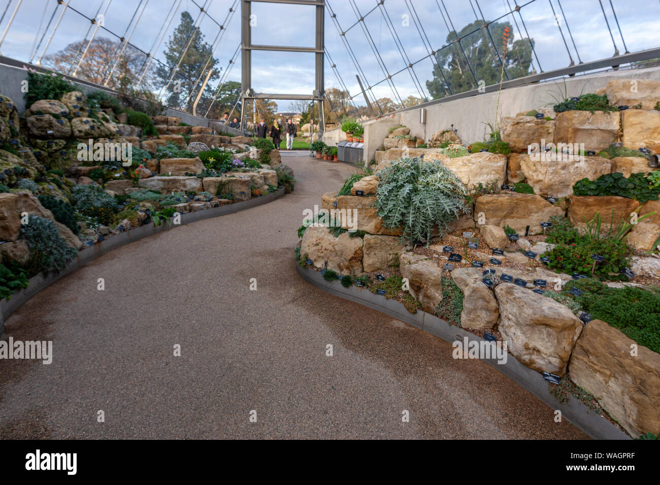 The Davies Alpine House at sunset, Royal Botanic Gardens, Kew, London ...