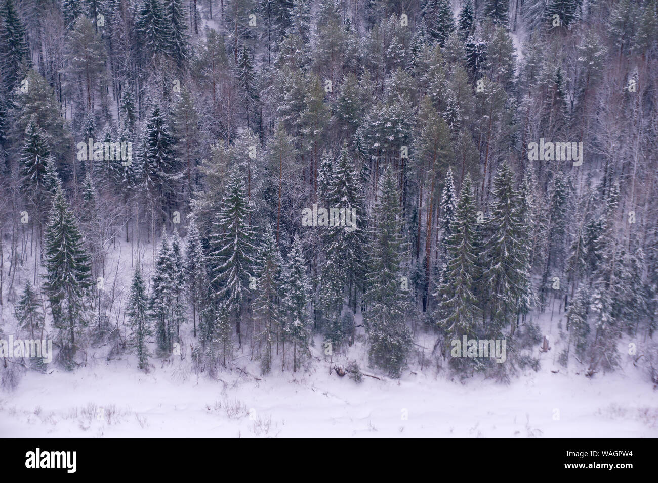 Subarctic landscape hi-res stock photography and images - Alamy