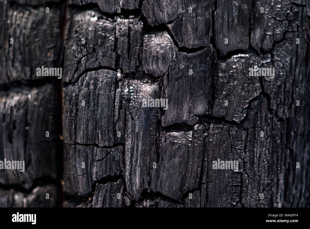 Charred Wood Background
