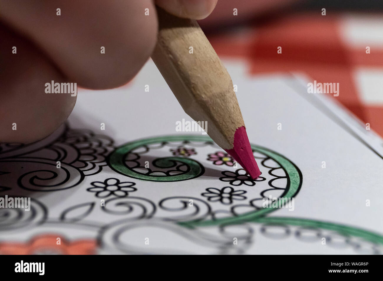 Close-up of someone coloring in a coloring book with a red pencil. An ...