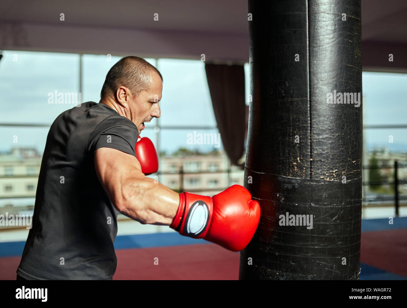 Boxer working hi-res stock photography and images - Alamy