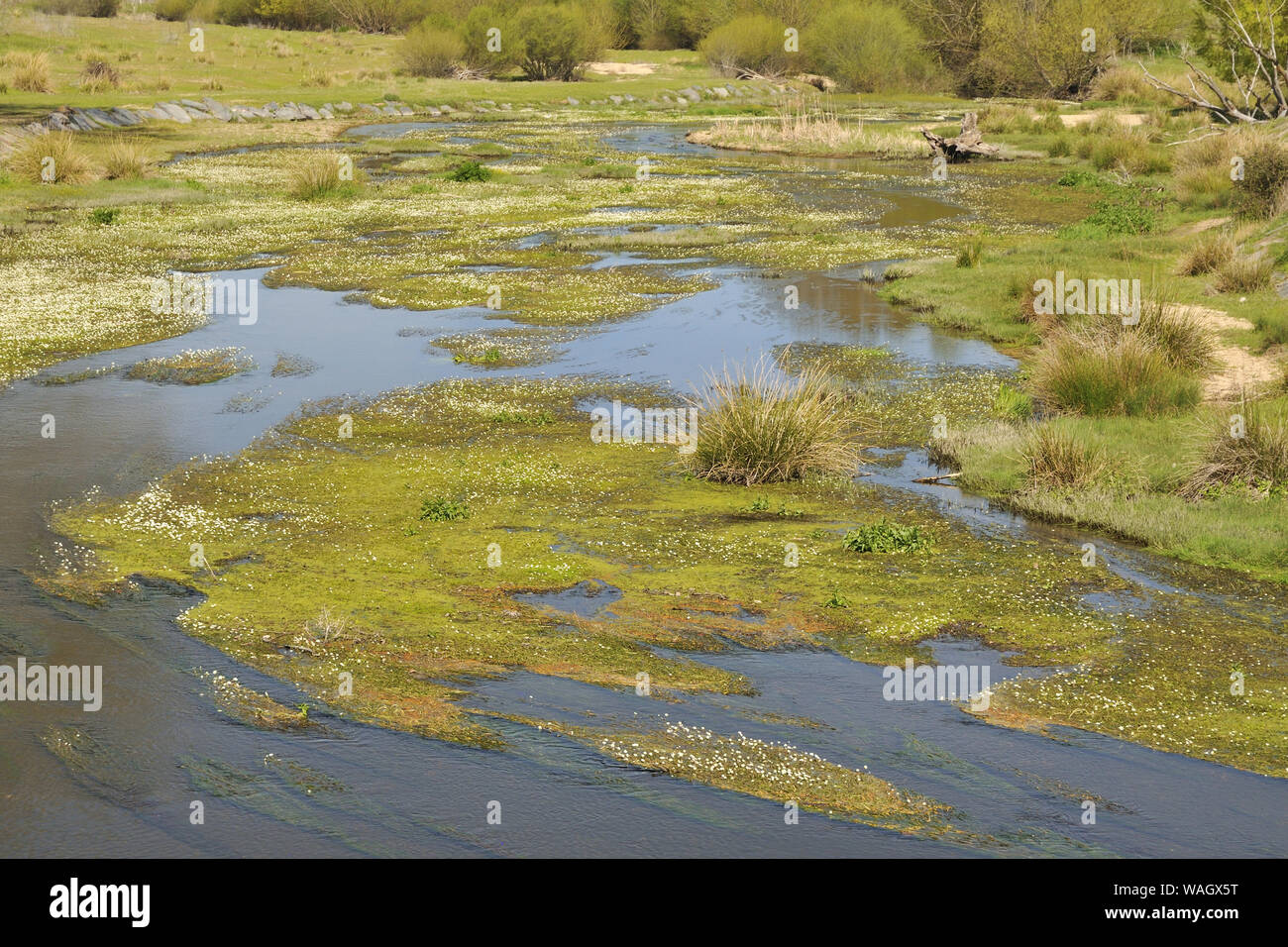 Soto spain hi-res stock photography and images - Alamy