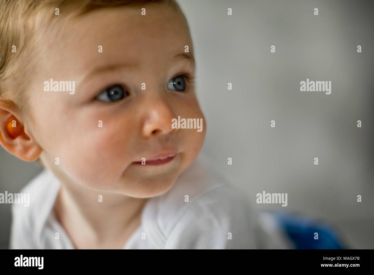 1 boy children child boy portrait hi-res stock photography and images ...