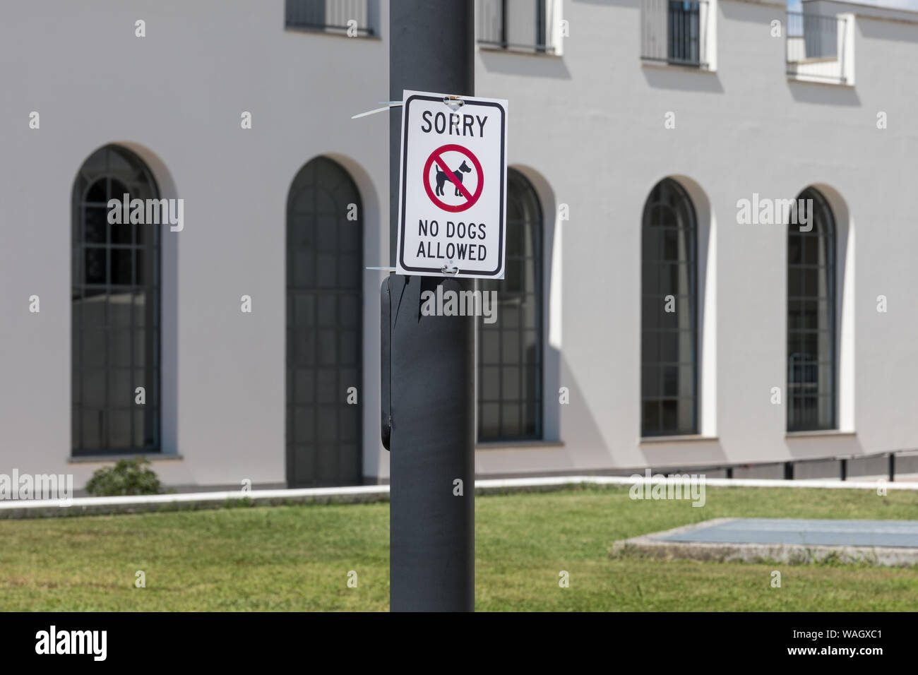 No dogs allowed sign hi-res stock photography and images - Alamy