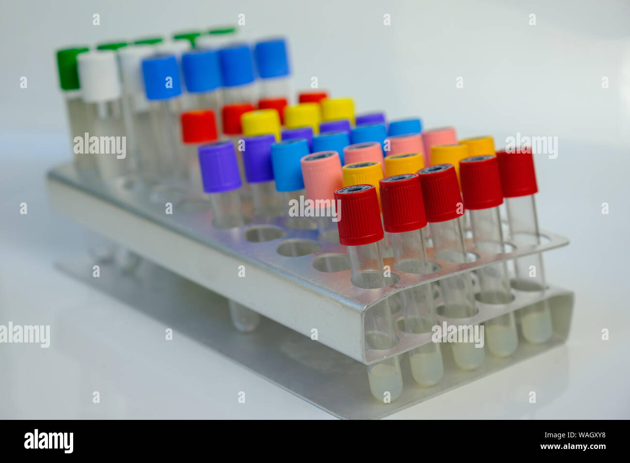 laboratory tubes prepared in a rack Stock Photo - Alamy