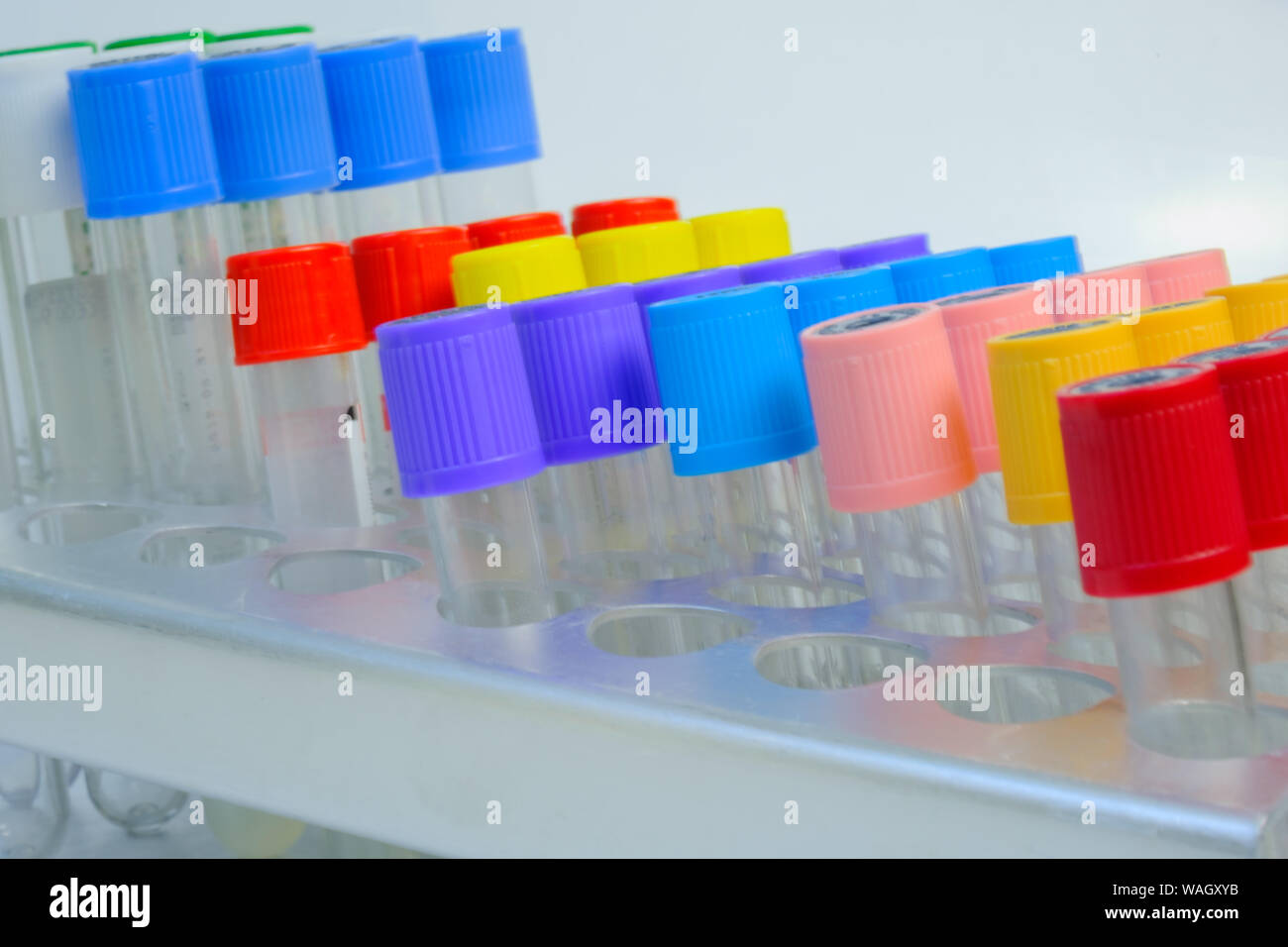 laboratory tubes prepared in a rack Stock Photo - Alamy