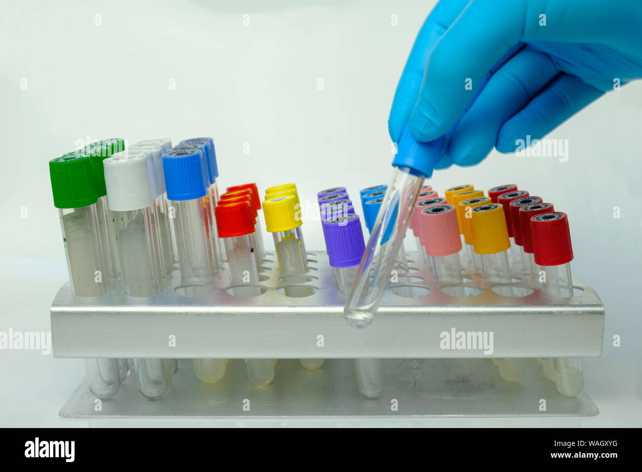 Diagnostic lab rack hi-res stock photography and images - Alamy