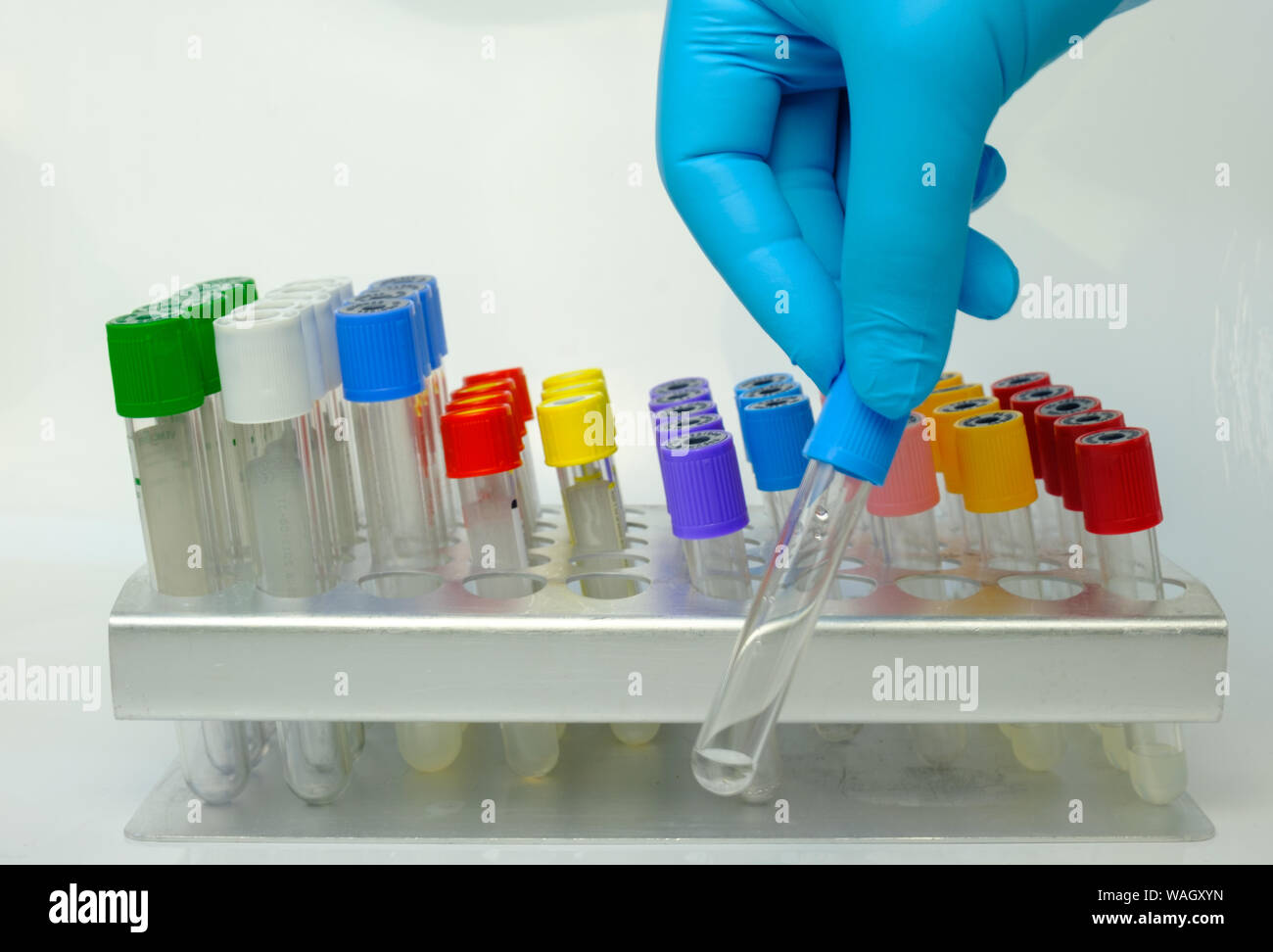 laboratory tubes prepared in a rack Stock Photo - Alamy