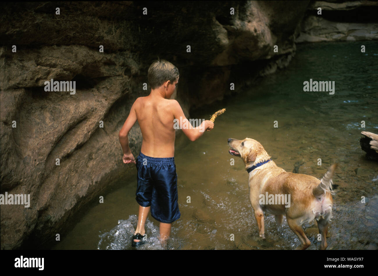 A boy teaches his dog a trick Stock Photo - Alamy