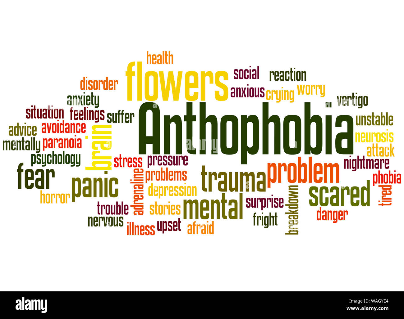 Anthophobia fear of flowers word cloud concept on white background ...