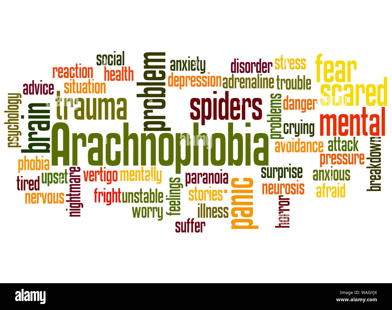 Arachnophobia fear of spiders word cloud concept on white background ...