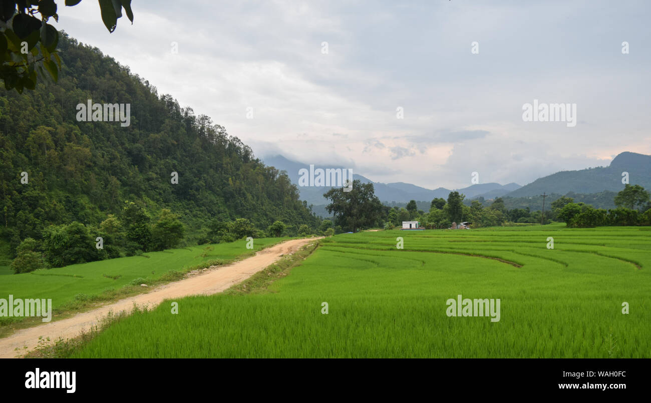 Mud Trail High Resolution Stock Photography and Images - Alamy
