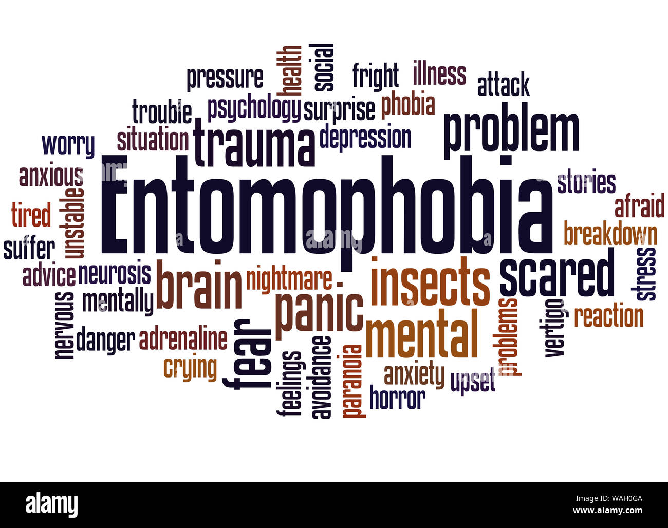 Entomophobia fear of insects word cloud concept on white background ...