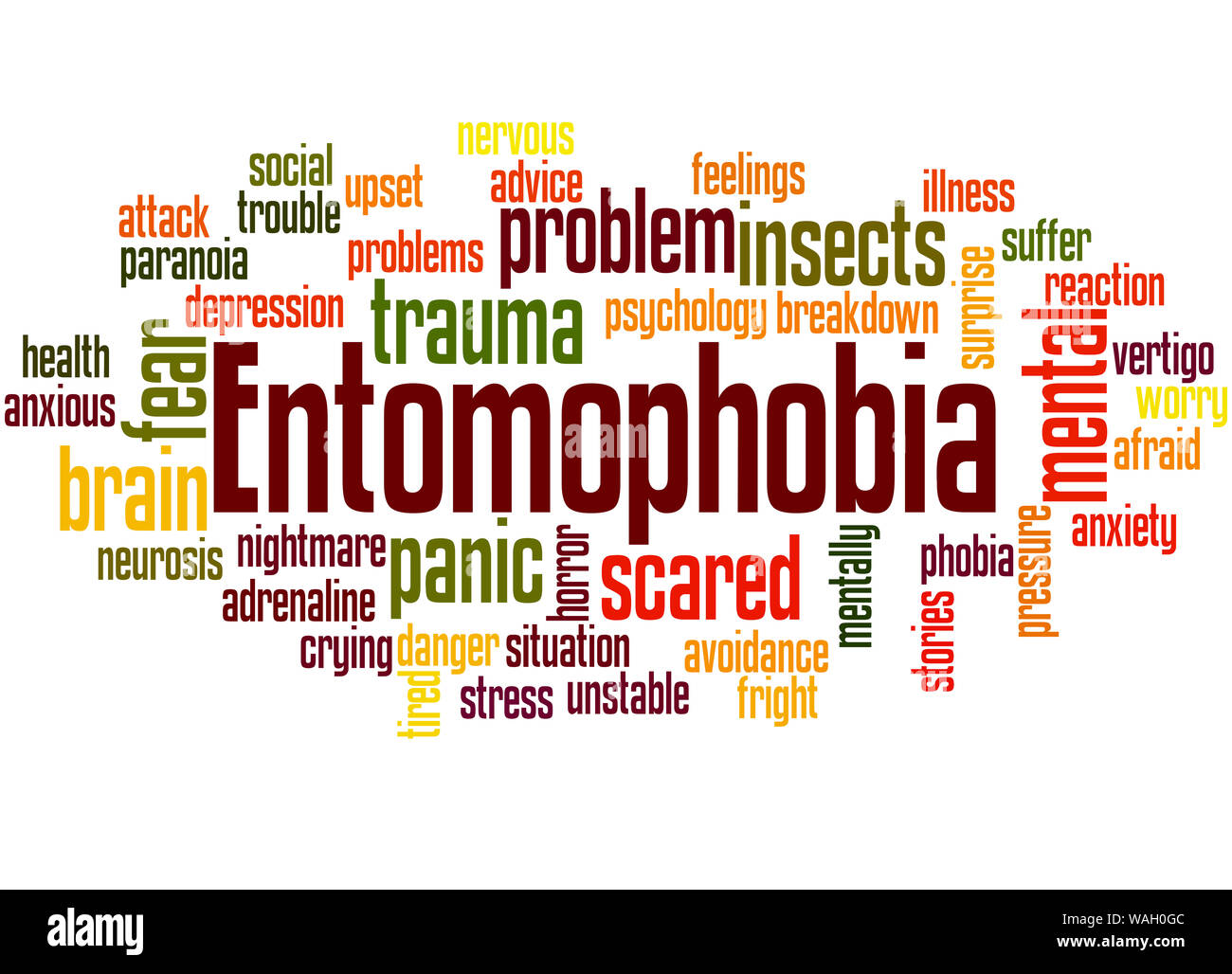 Entomophobia fear of insects word cloud concept on white background ...