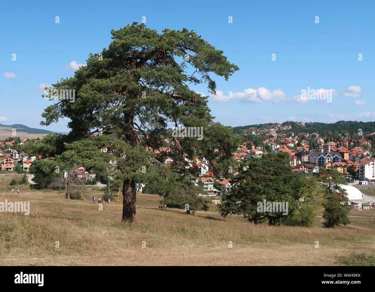 Zlatibor mountain hi-res stock photography and images - Alamy