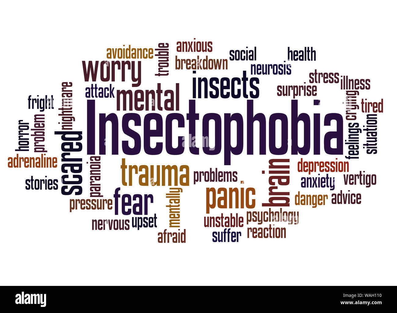 Insectophobia fear of insects word cloud concept on white background ...