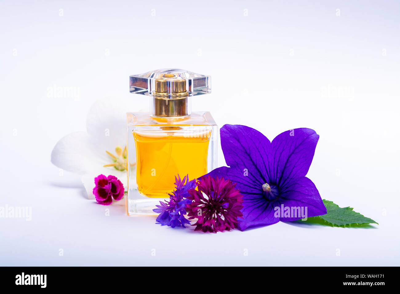 Creation of perfume essence, summer flowers sweet light fragrance ...