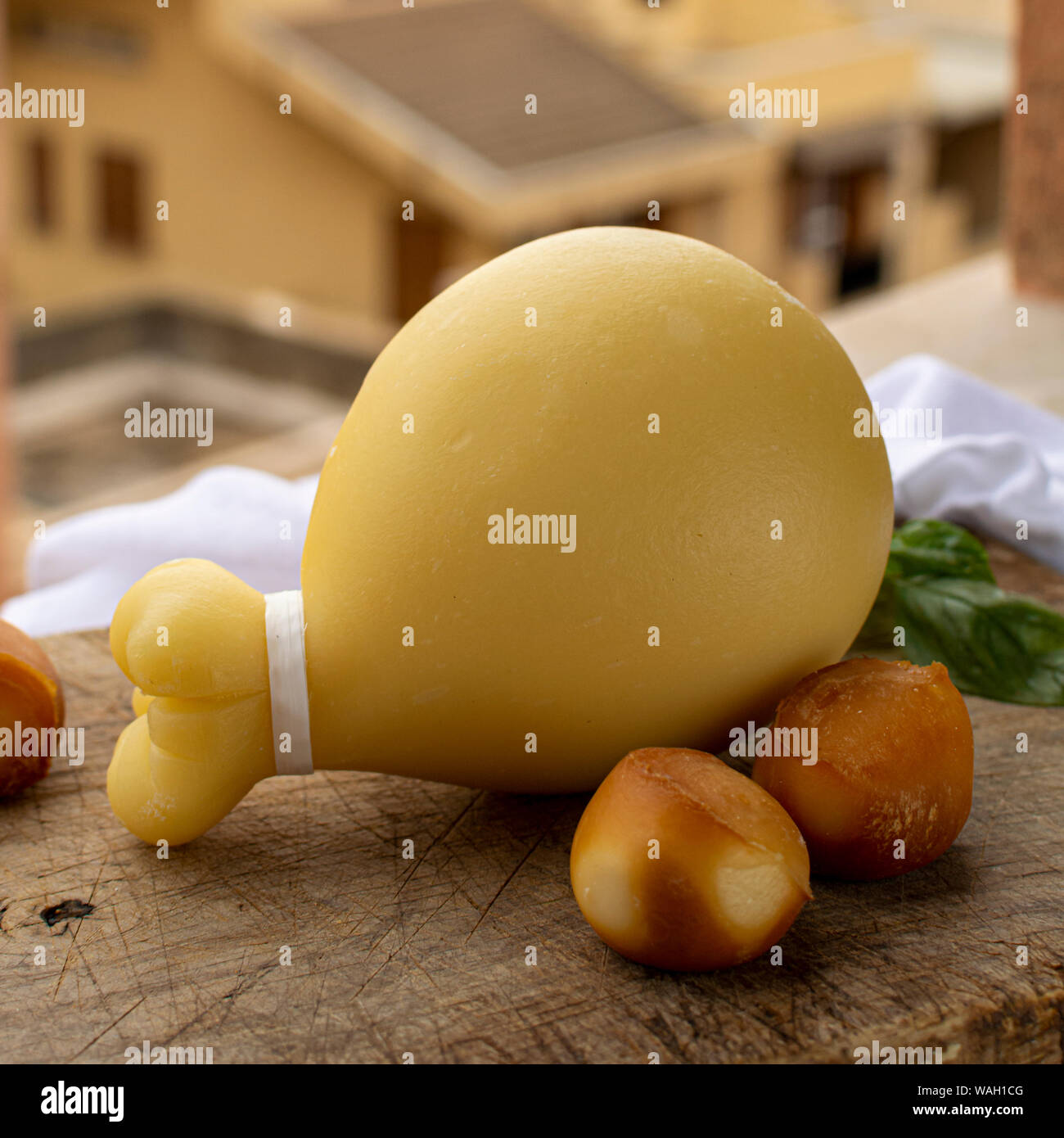 Cheese collection, Italian provolone caciocavallo aged and smoked ...