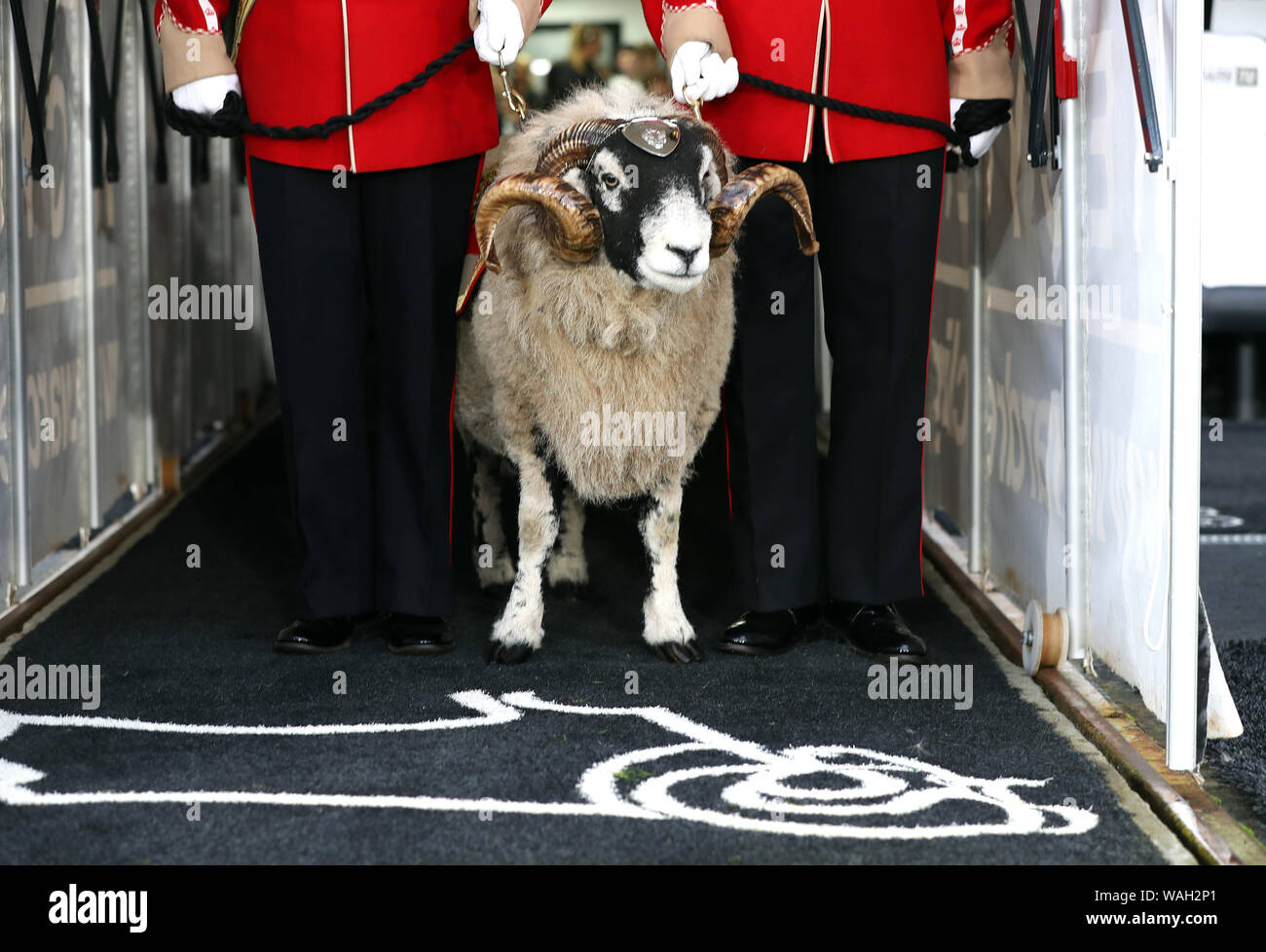 Ram mascot Private Derby during the Sky Bet Championship match at Pride ...