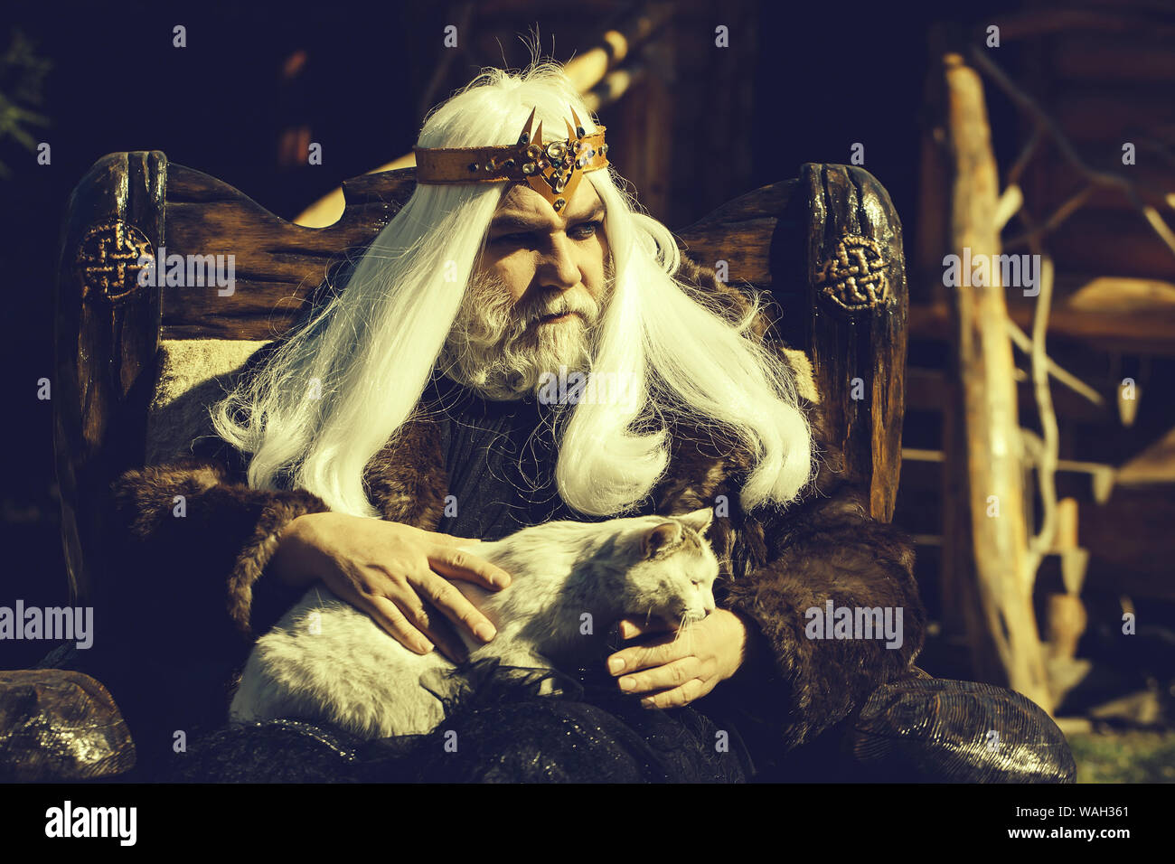 Old druid sits in chair Stock Photo - Alamy