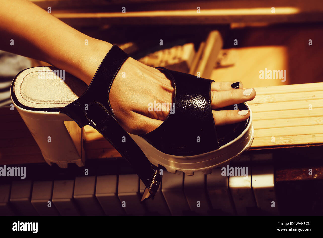 Female hand in shoe Stock Photo - Alamy