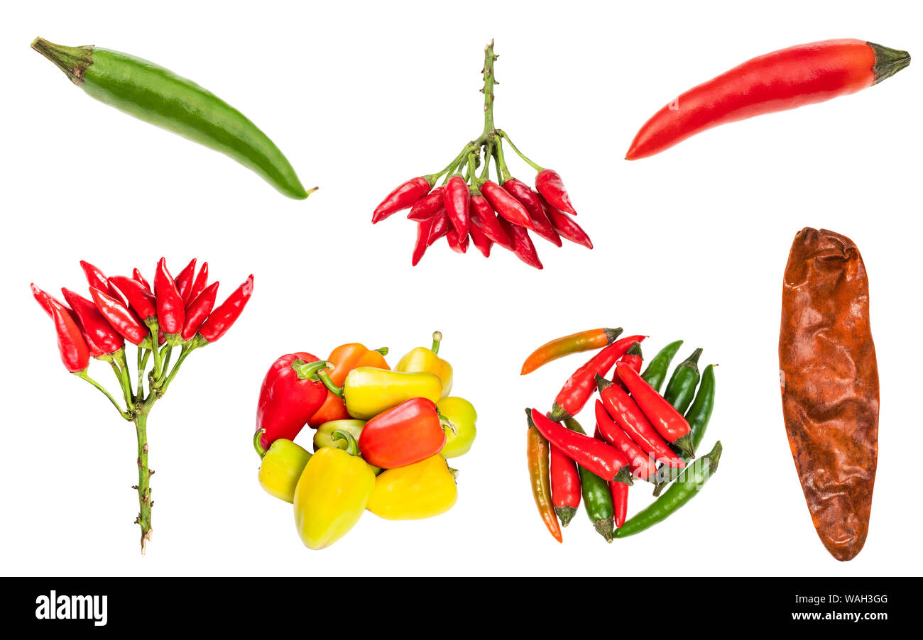 set of various peppers cut out on white background Stock Photo - Alamy