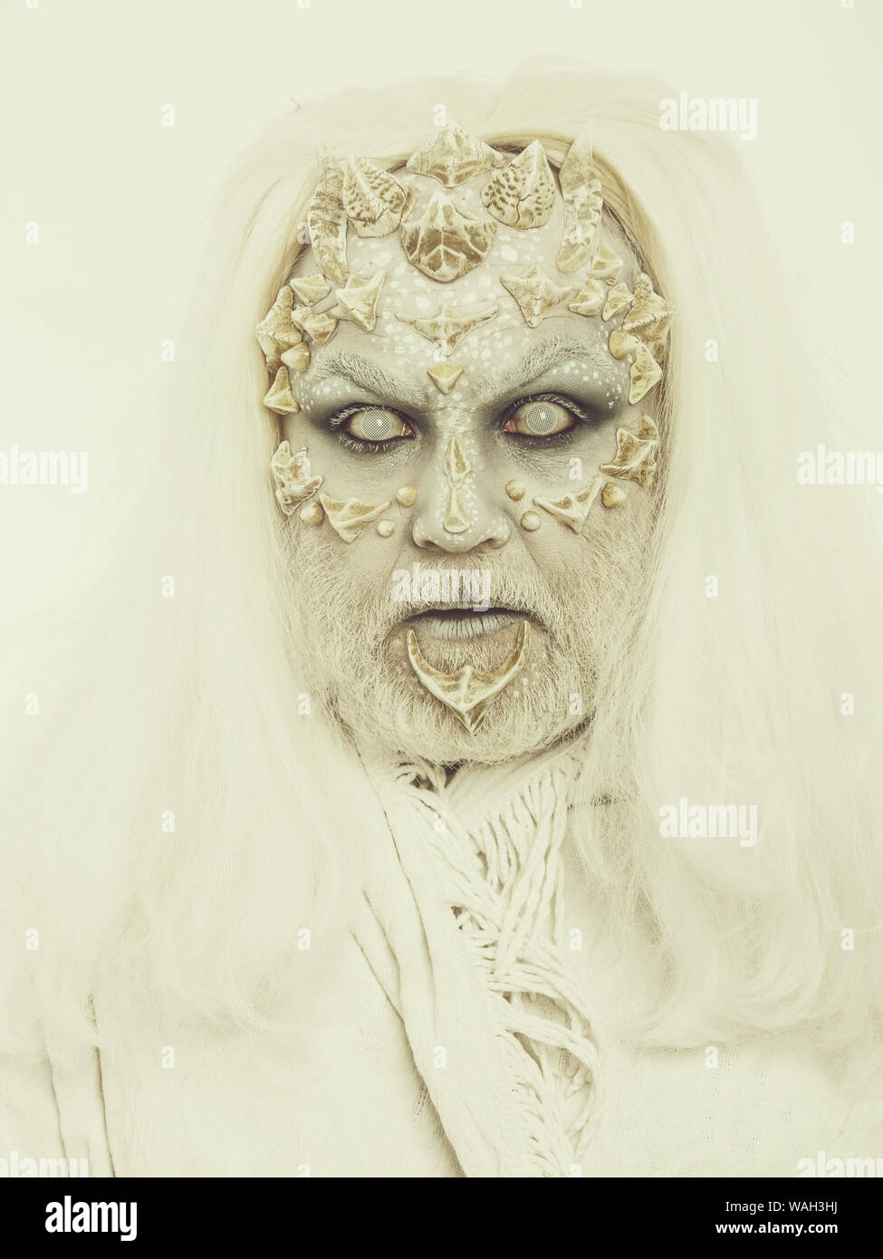 Wizard with long silver hair Stock Photo - Alamy