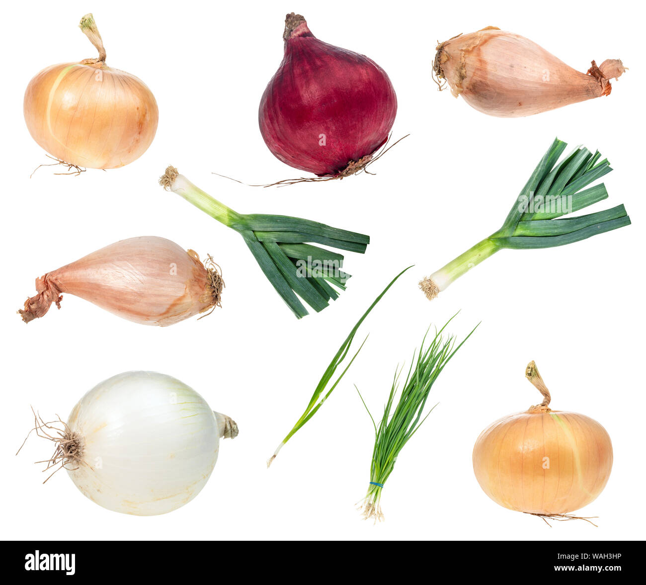 set of various onions cut out on white background Stock Photo - Alamy