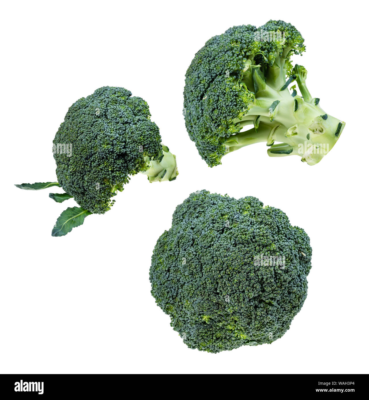 set of fresh broccoli heads cut out on white background Stock Photo - Alamy