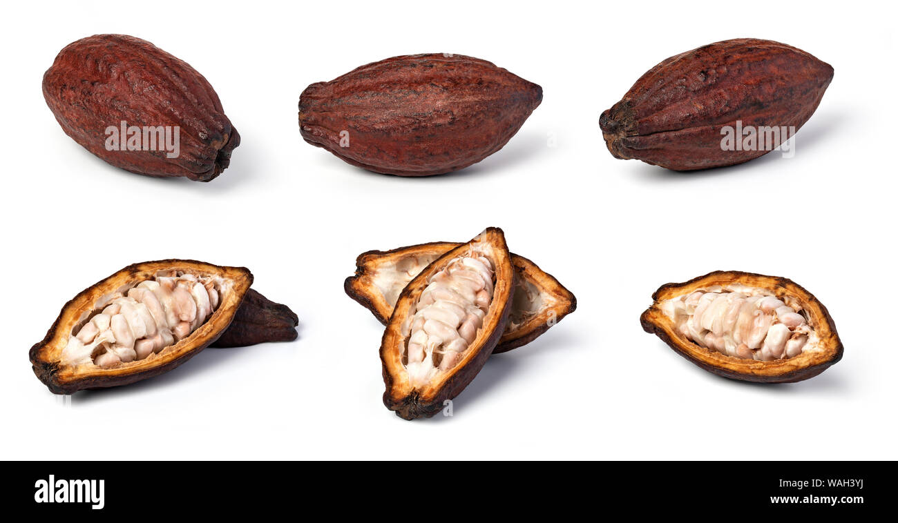 set of cocoa pod on a isolated white background Stock Photo - Alamy