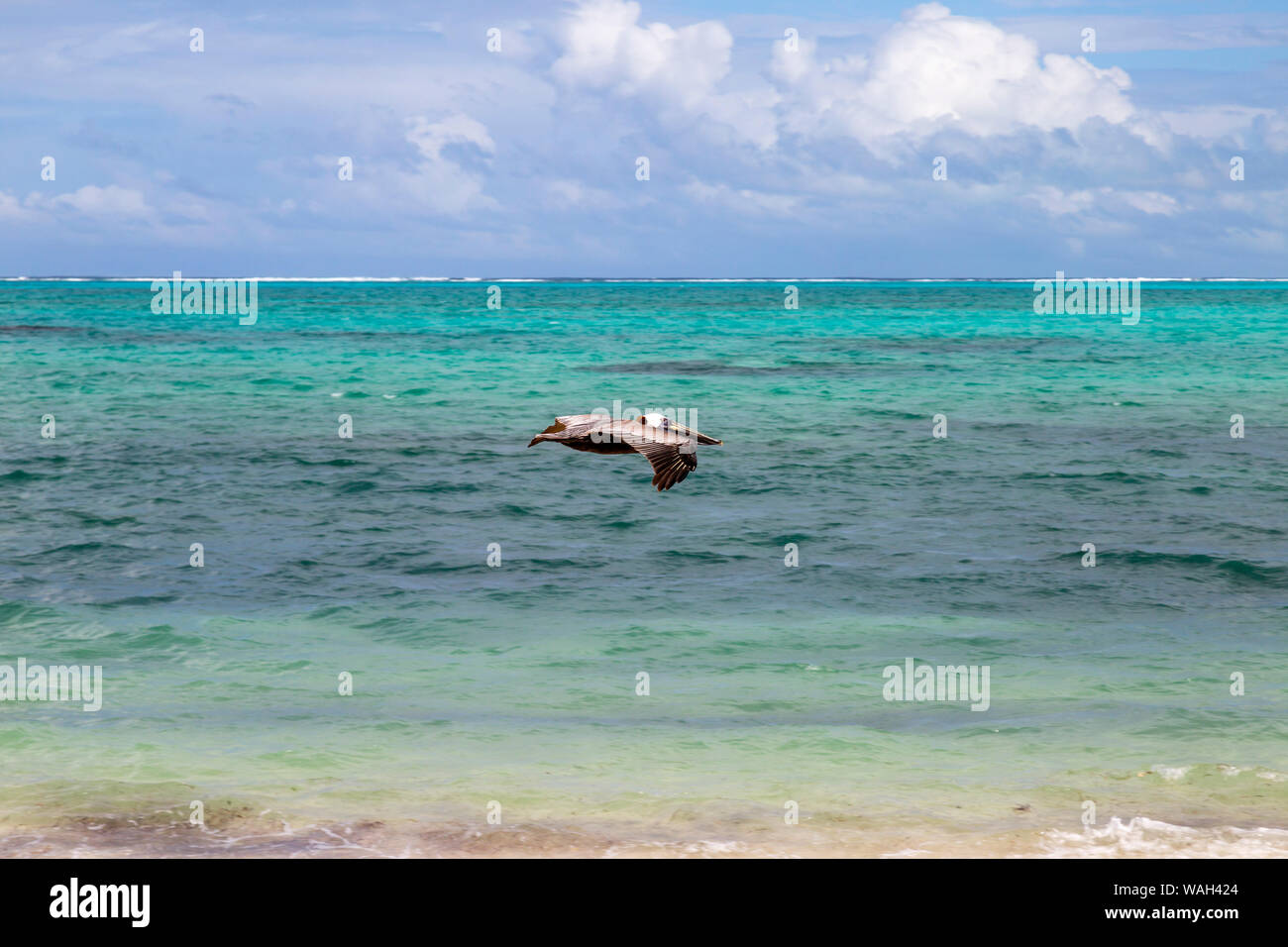 Blue hills providenciales hi-res stock photography and images - Alamy