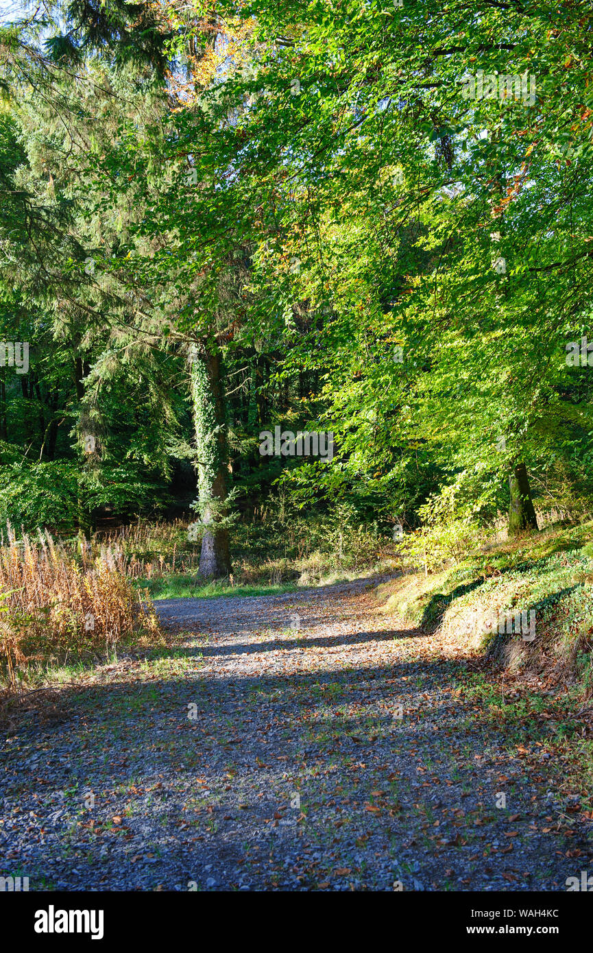 Wicklow walking trail hi-res stock photography and images - Alamy