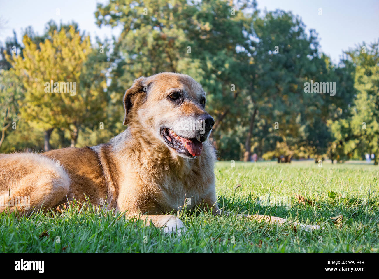 Friendly face hi-res stock photography and images - Alamy