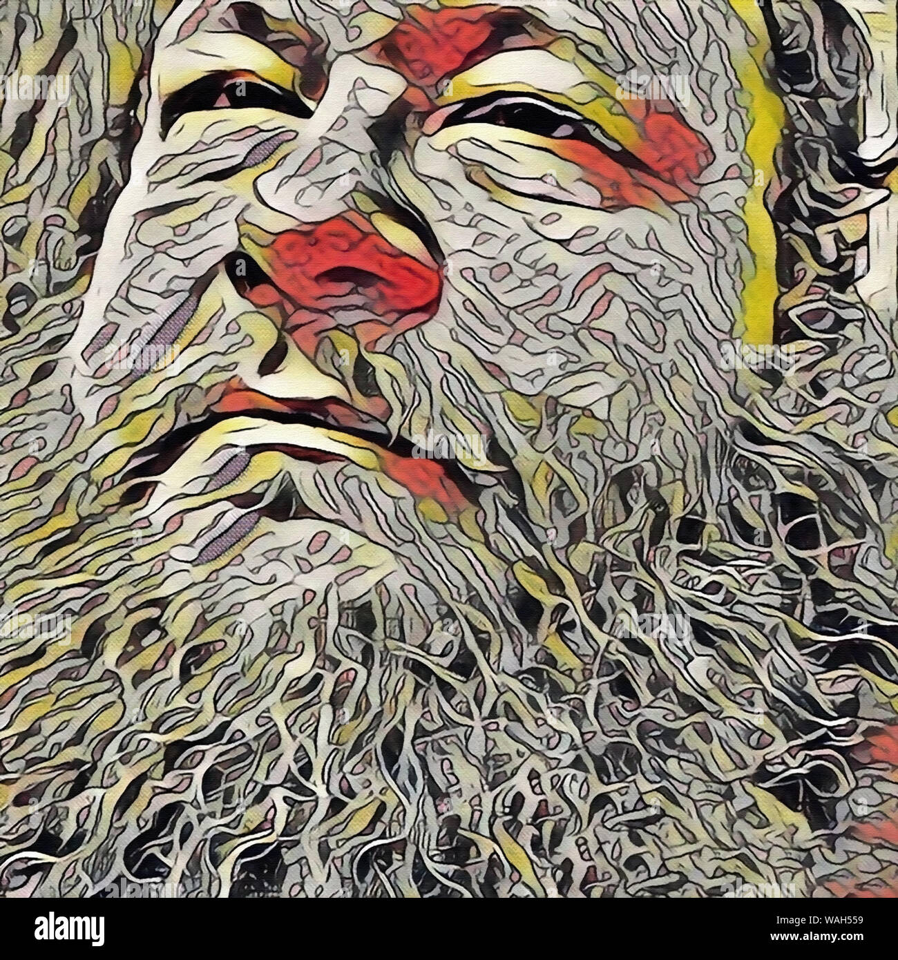 Illustration. Bearded man face Stock Photo - Alamy
