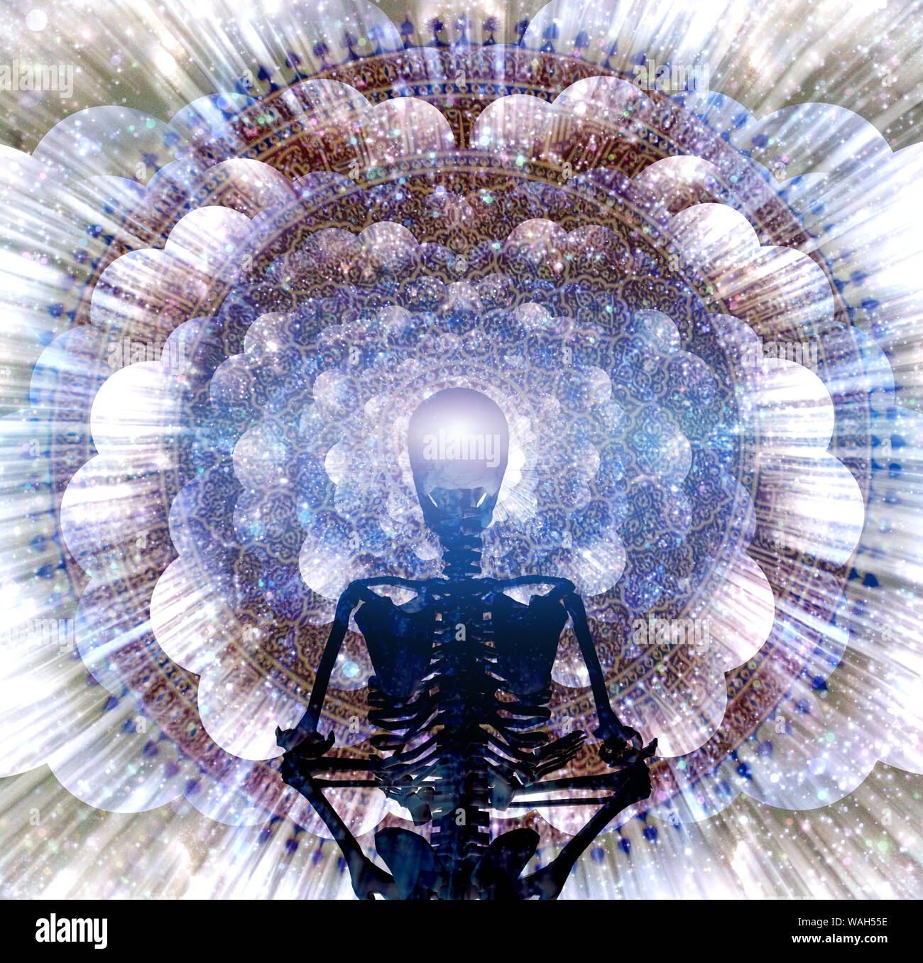 Skeleton in lotus position sits before endless spaces Stock Photo - Alamy