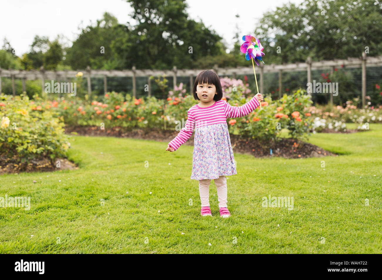 toddler girl play pinwheel in summer forest park Stock Photo - Alamy