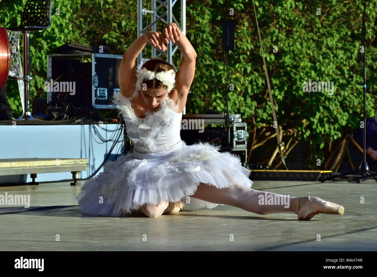 Dying Swan High Resolution Stock Photography and Images - Alamy