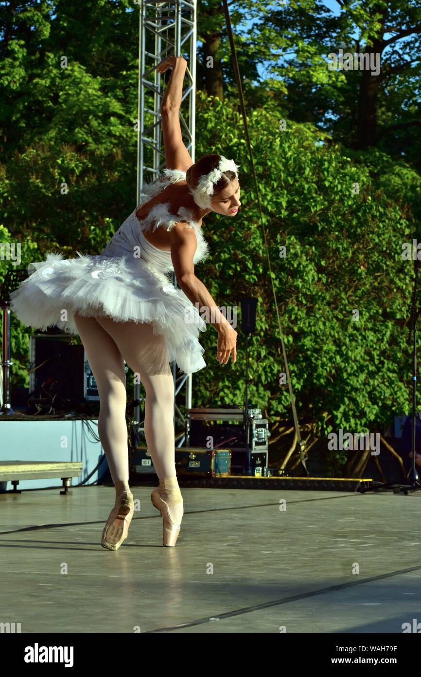 Dying Swan High Resolution Stock Photography and Images - Alamy