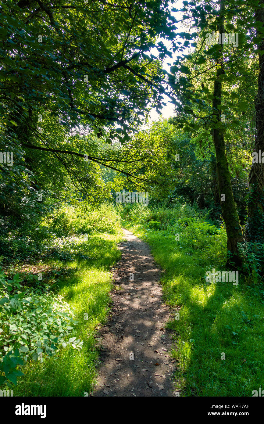 Sheffield country walk hi-res stock photography and images - Alamy
