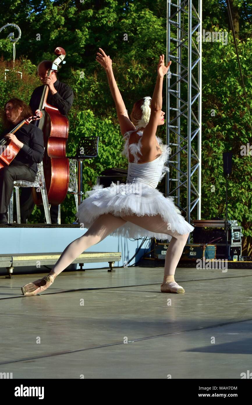 Dying Swan High Resolution Stock Photography and Images - Alamy