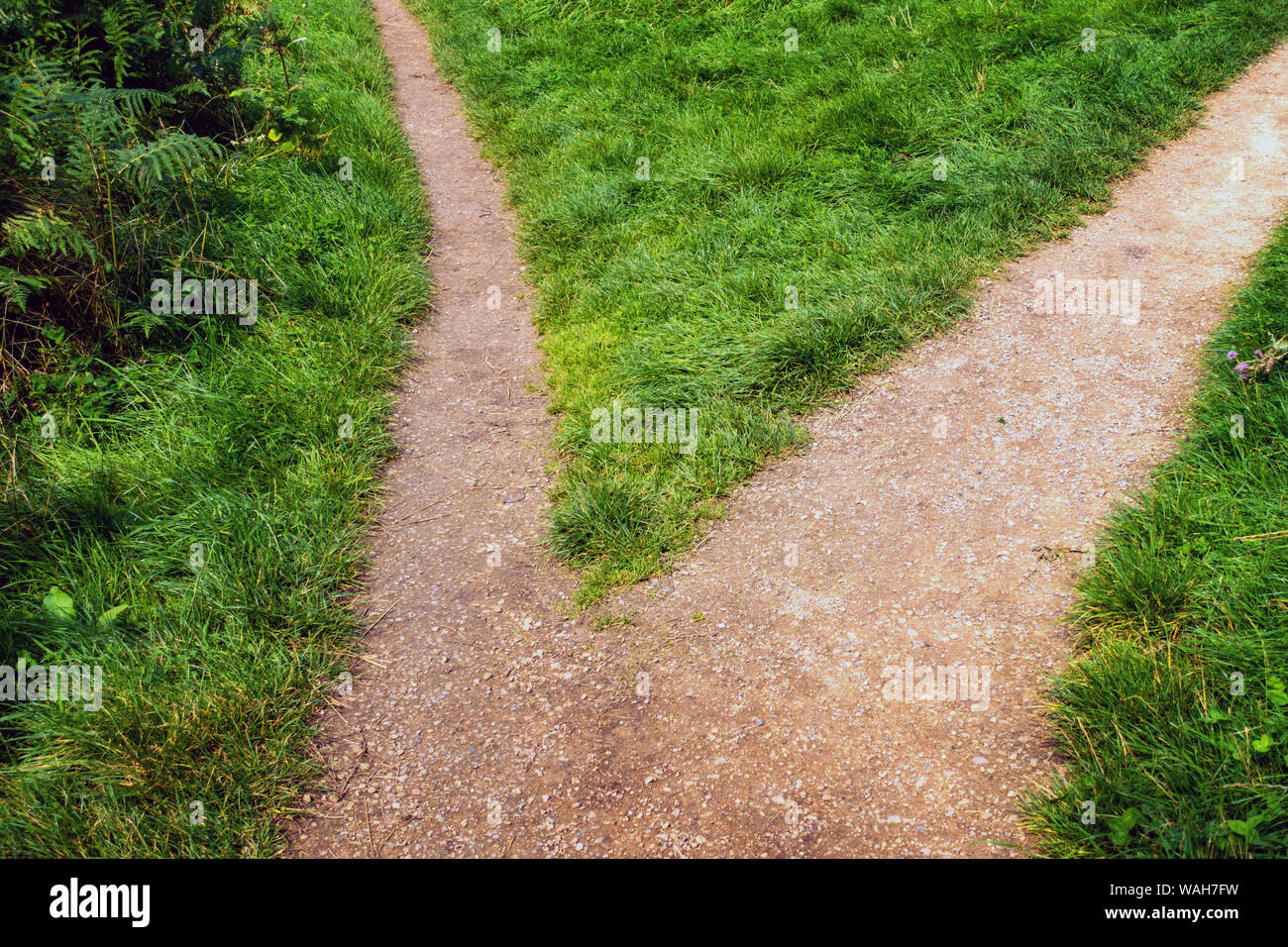 Two arrows direction symbol design hi-res stock photography and images ...