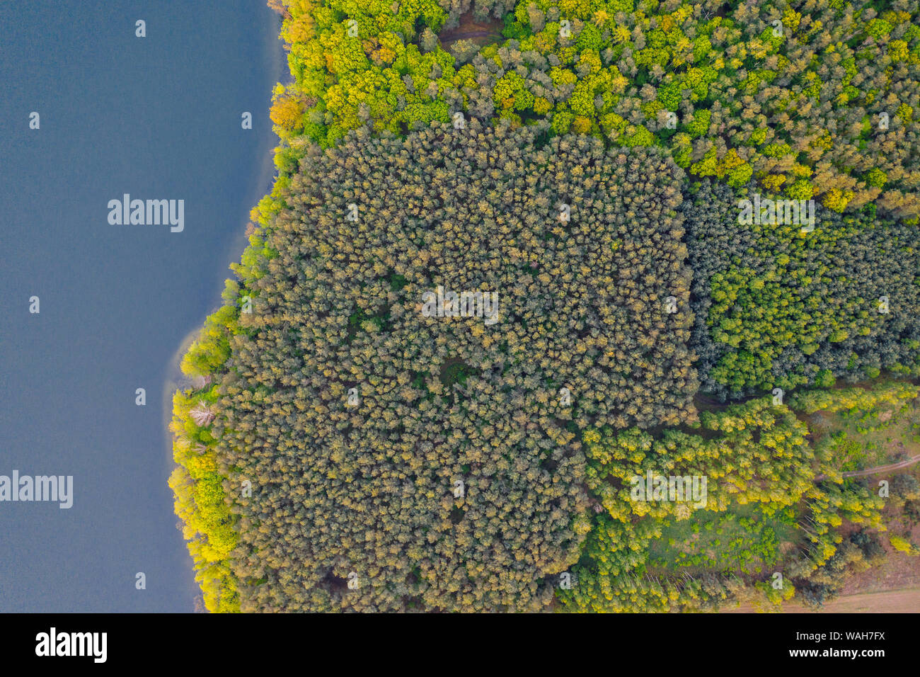 Aerial drone photography of a lake landscape during sunset. Beautiful ...