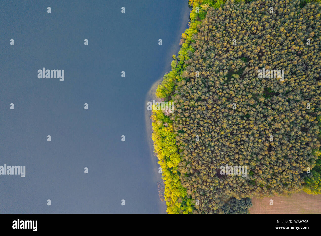 Aerial drone photography of a lake landscape during sunset. Beautiful ...