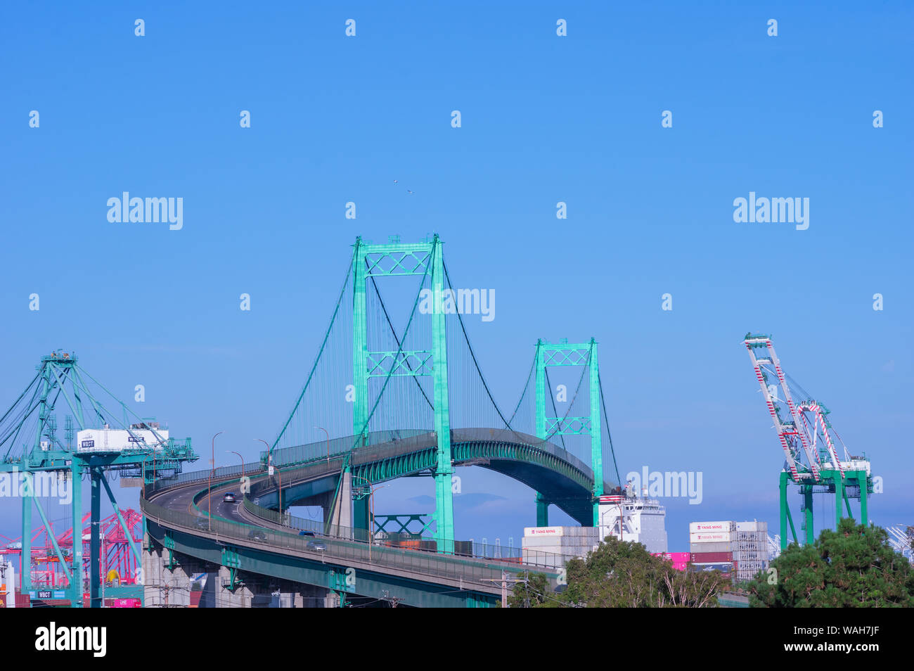 Image of the landmark Vincent Thomas bridge showing multiple cranes and ...