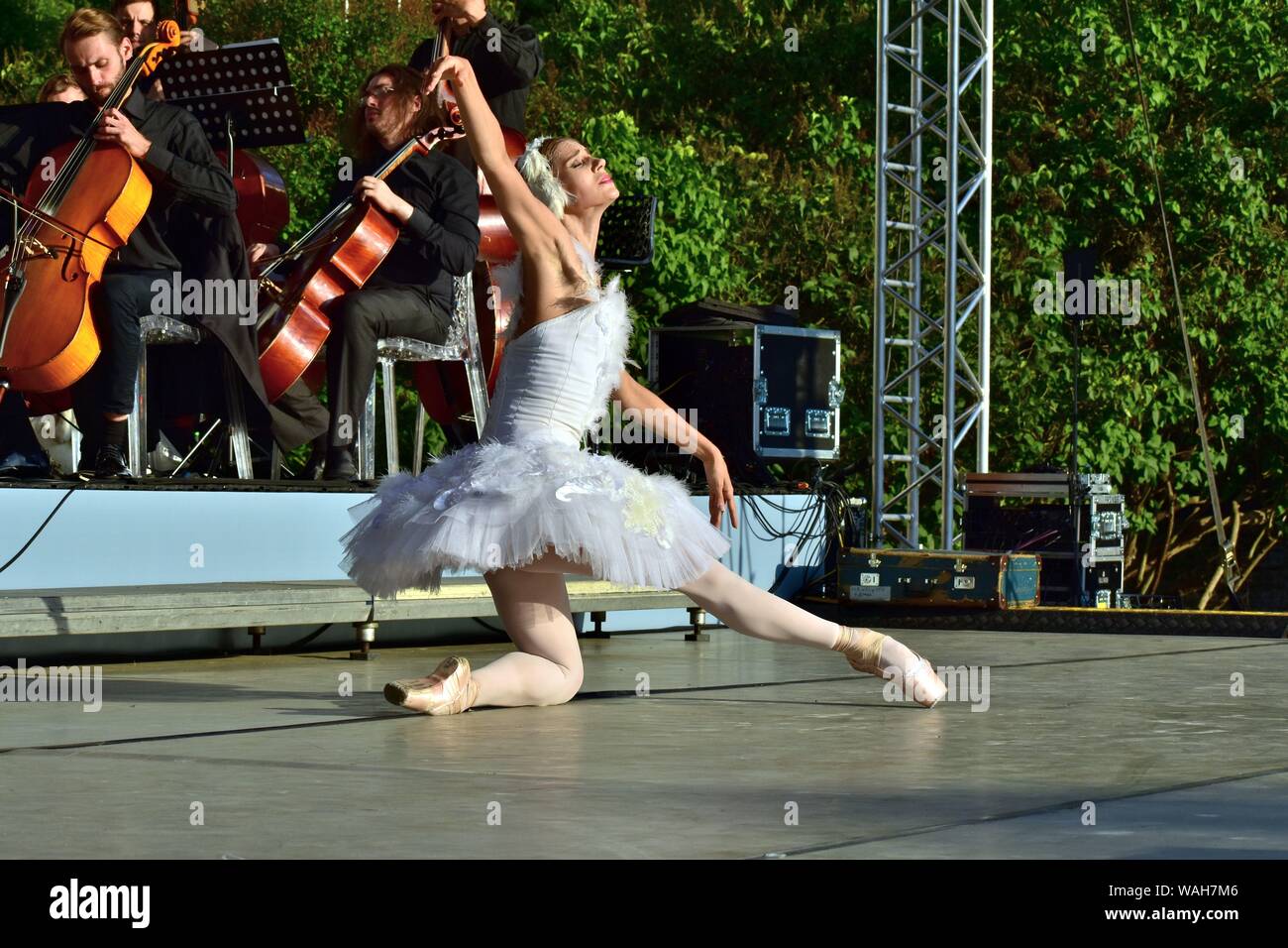 The Dying Swan High Resolution Stock Photography and Images - Alamy