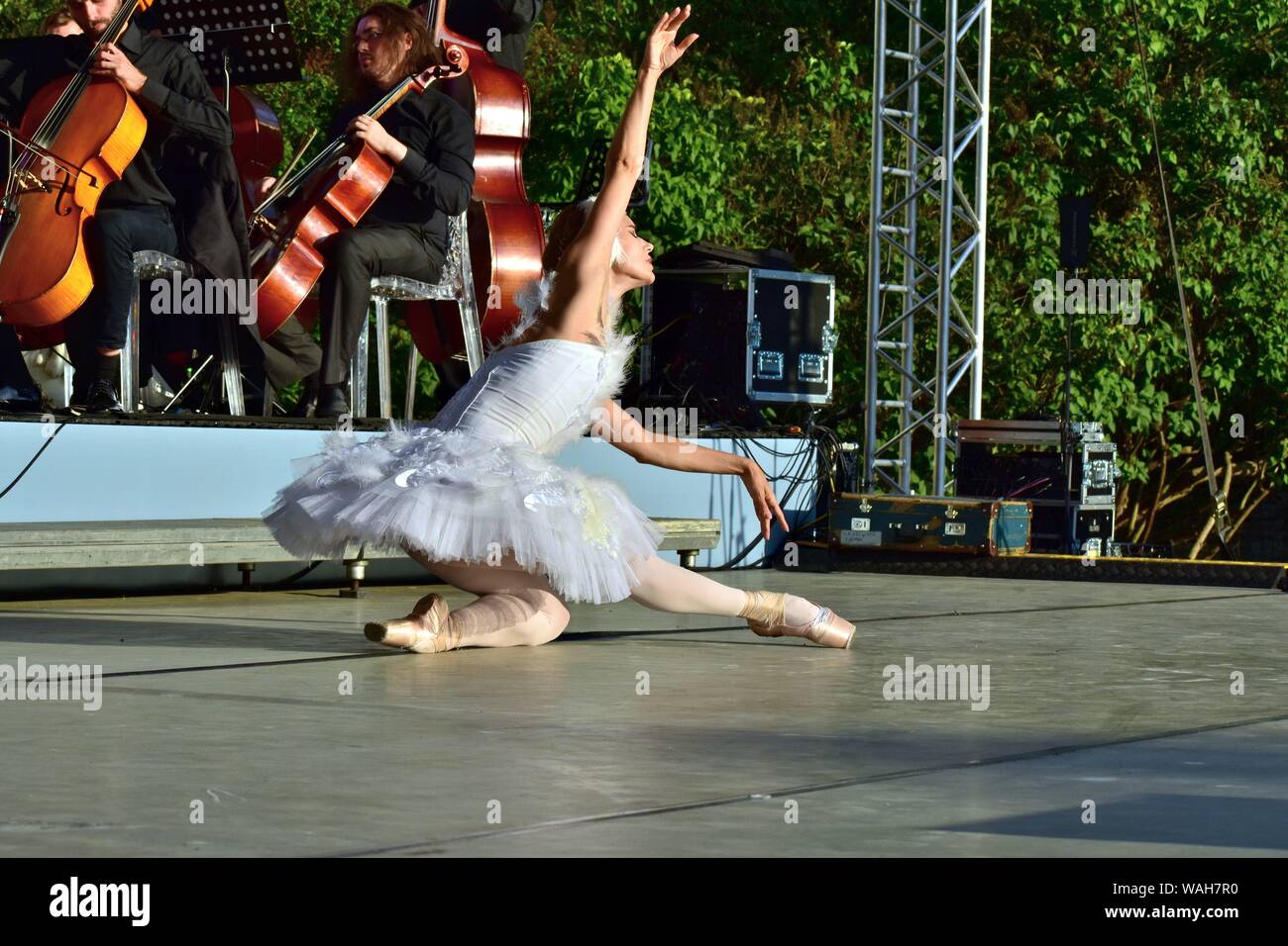 Dying Swan High Resolution Stock Photography and Images - Alamy