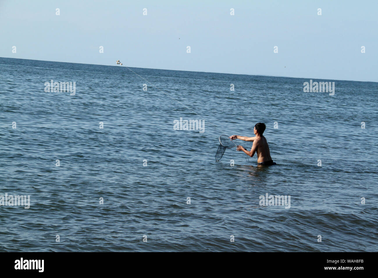 Man throwing out bait while fishing for crabs in the Chesapeake Bay ...