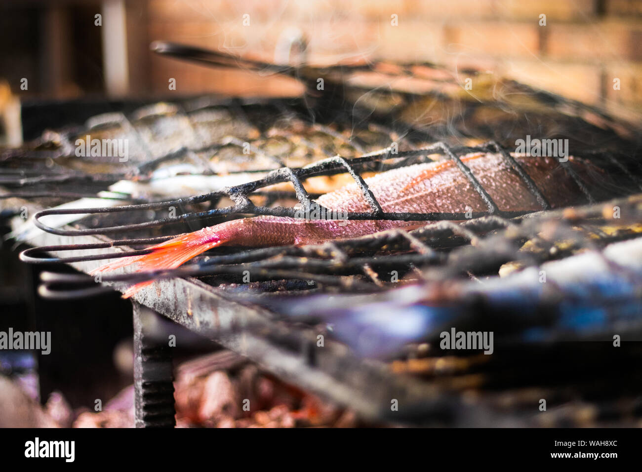 On the coast of spain, europe, traditional cooking of freshly caught ...