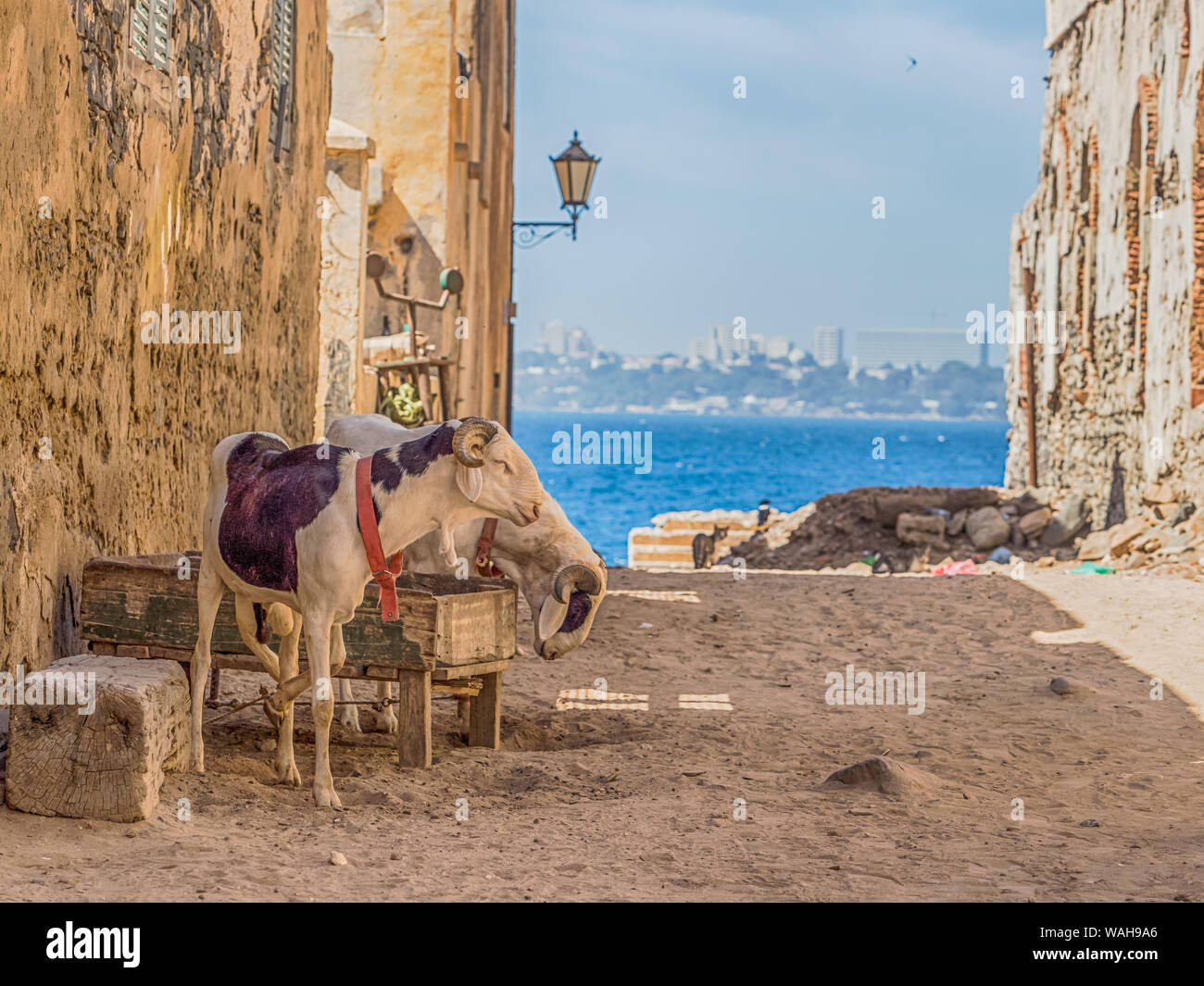 Goree, Senegal- February 2, 2019: Daily life, sandy road on the Goree ...